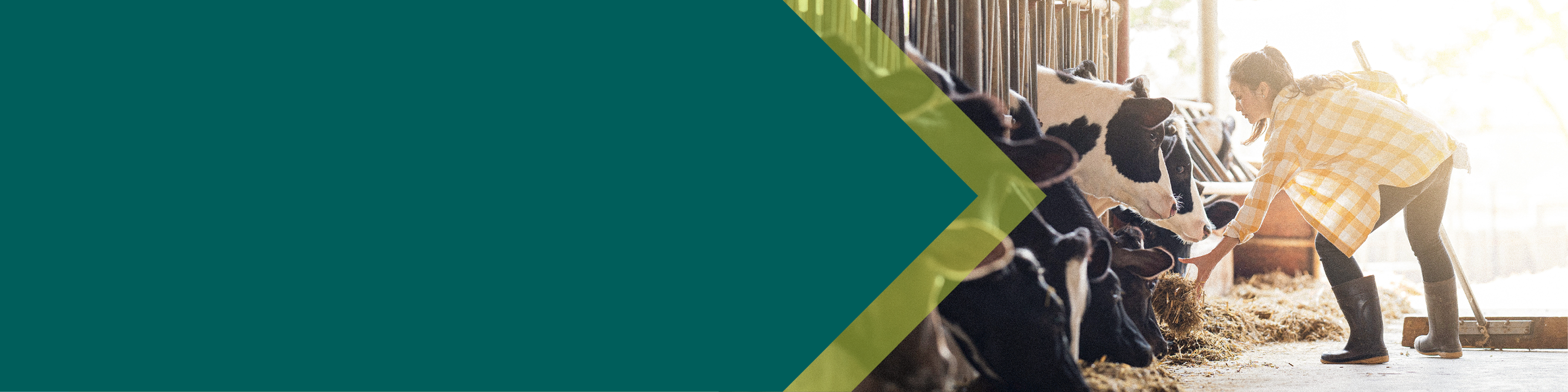 Farm Financing | GreenStone FCS